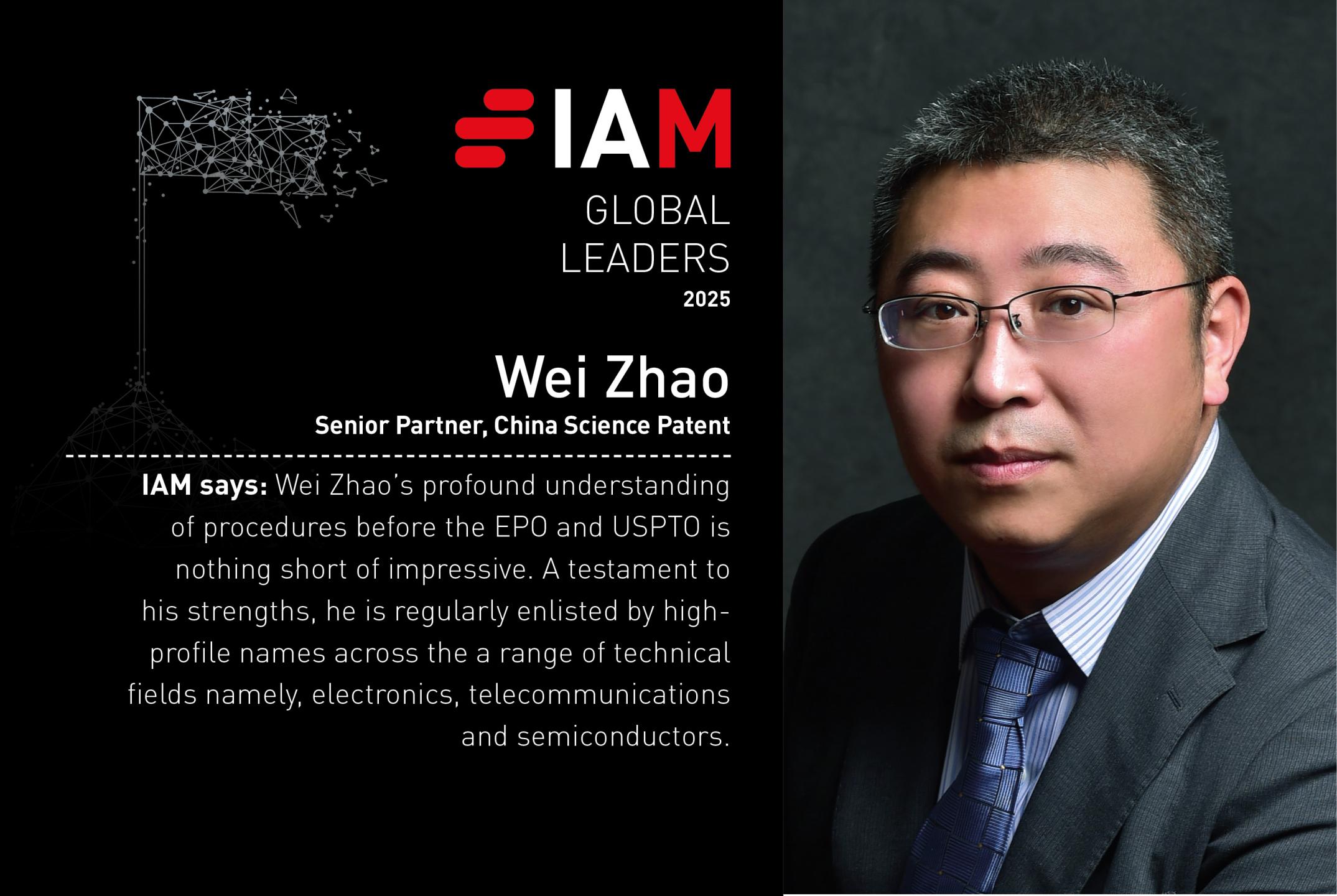 Wei Zhao - IAM